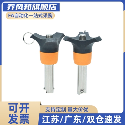 BLP5/6/8/10/12/16-10/15/20/25C/30/40/50/60/80/球头锁紧销ZAA0