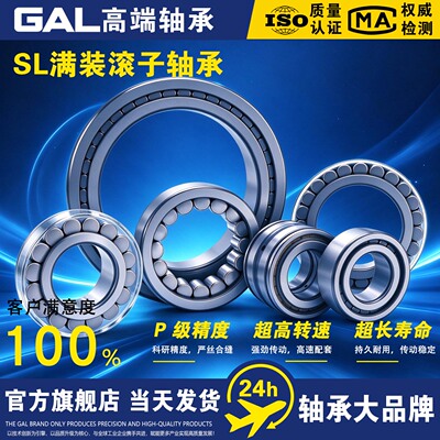 德国GAL轴承SL192307 SL192317 RSL182205 RSL182206满装滚子轴承