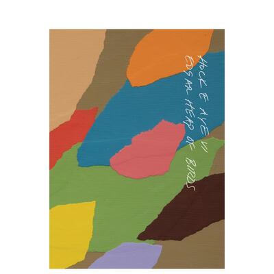 【预售】霍克E阿耶维埃德加希普奥伯兹荣耀颂歌Hock E Aye Vi Edgar Heap of Birds: Honor Song英文艺术家艺术工作室精装Radius