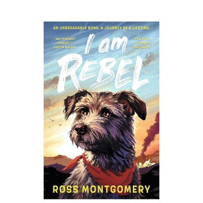 【现货】我是叛逆者 2024年水石书店年度儿童图书I Am Rebel英文儿童故事 Ross Montgomery Candlewick Press6-9岁进口原版书9781