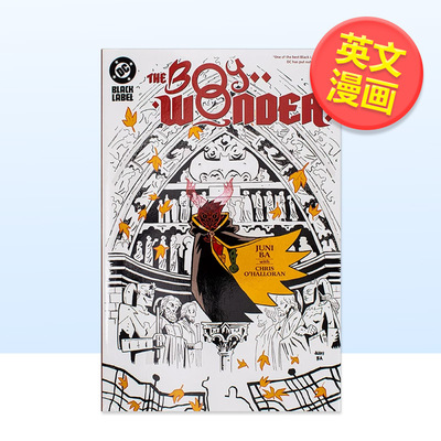 【现货】【DC Comics】达米安罗宾神奇小子 精装版合集The Boy Wonder英文漫画Juni Ba精装DC Comics进口原版书9781799500322