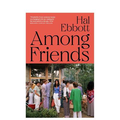 【预售】朋友之间Among Friends英文小说精装进口原版书Hal EbbottPicador