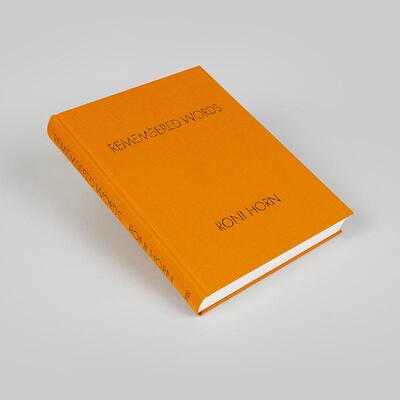【现货】罗妮霍恩记忆中的词汇Roni Horn: Remembered Words英文博物馆展览私人收藏画册Roni Horn精装Steidl进口原版书978386930