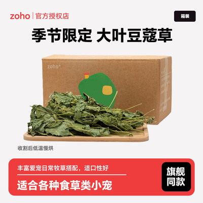 2025年新到的大叶豆蔻草兔子干草
