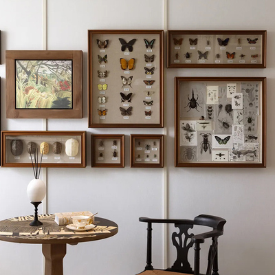 中古风昆虫标本装饰画框