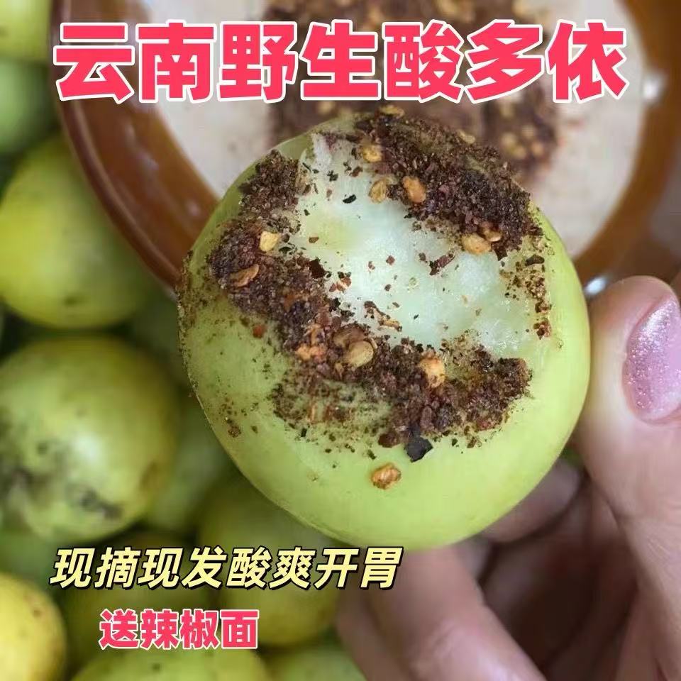 野生多依现摘新鲜嫩多依嫩木瓜云南特产当季孕妇开胃水果山地酸果