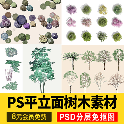古风植物彩平园林景观复古小清新平面立面树木psd分层免抠PS素材