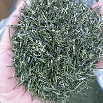2025新茶碧螺春绿茶毛尖炒青500g