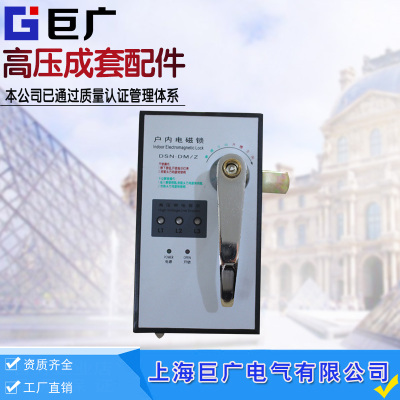 DSN-DMY右开型户内电磁锁 带电显示器电磁锁左开DSN3-DMZ开关柜锁