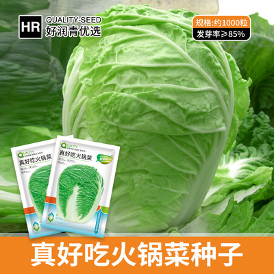 New style really delicious hot pot dish, ball wrapped heart