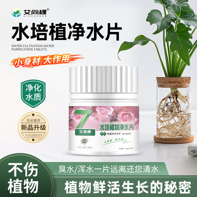 Aishanggeplantwaterpurific