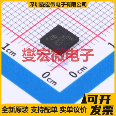 DRV10983SQPWPRQ1 HTSSOP-24-EP 无刷电机驱动器芯片IC