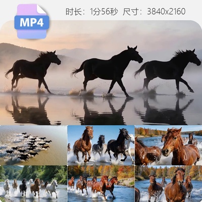 高清万马奔腾齐头并进骏马奔跑水花四溅草原河流航拍壮观视频素材