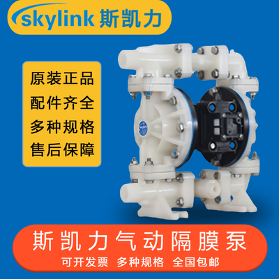 斯凯力skylink气动隔膜泵PS152540PP耐腐蚀原装现货配件全套膜片