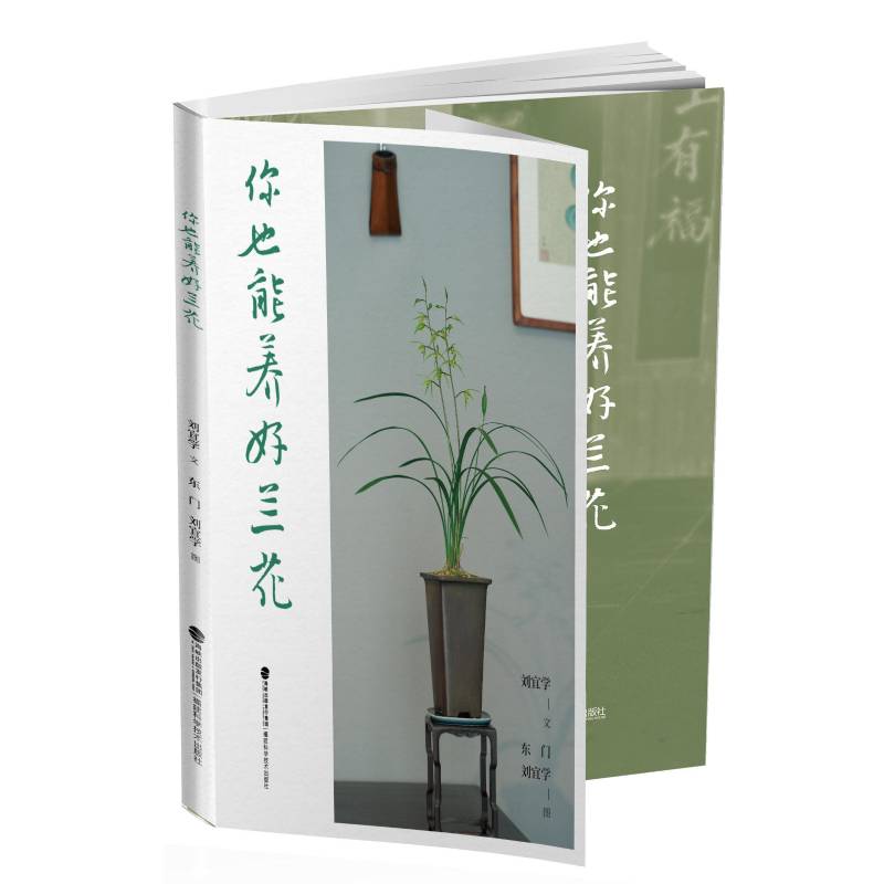 你也能养好兰花 轻松养好兰花 兰花病虫害防治四季养护日常打理实用养花书籍