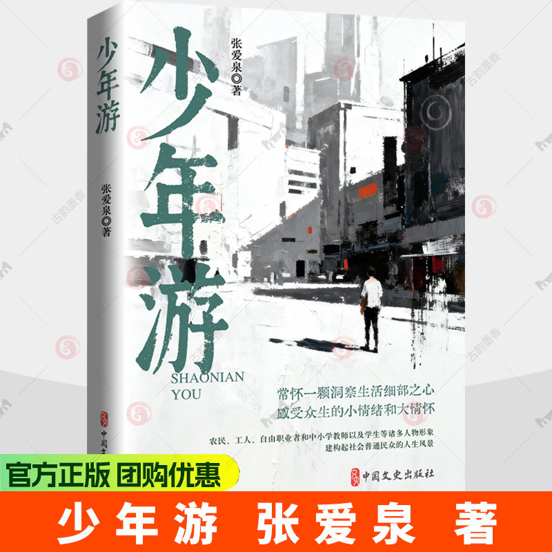 少年游 锐势力中国当代作家小说集 张爱泉 著 著中国文史出版社现代/当代文学书籍 中国文史出版社