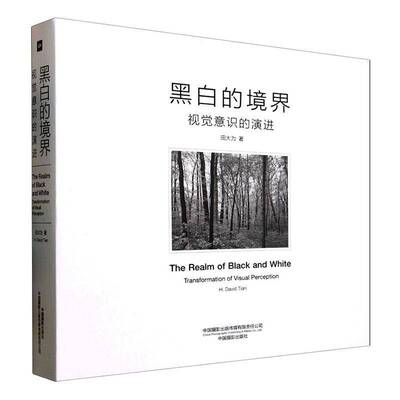 黑白的境界:视觉意识的演进:transformation of visual perception田大为 艺术书籍