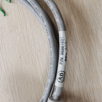现货促销 AB SUPPLIER Y228 1/99 P/N 96881601 REV A02实物照片