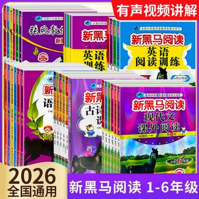 新黑马阅读123456年级专项训练