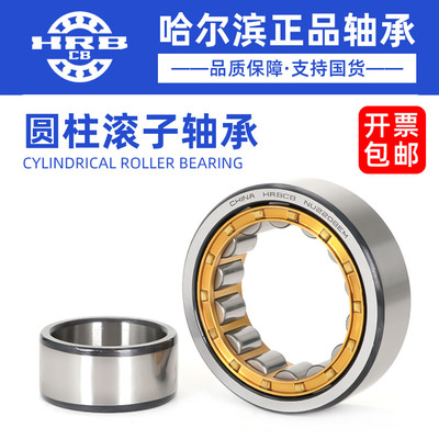 哈尔滨圆柱滚子轴承NU NJ 304 305 306 307 308 309 310 311 EM