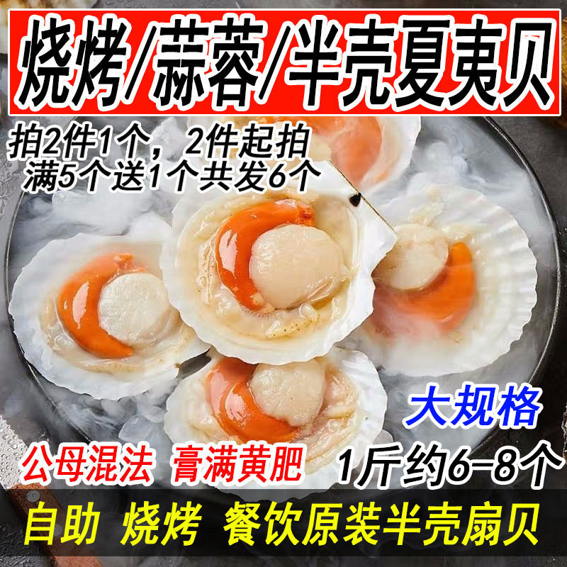 新鲜半壳贝夏夷贝鲜活冷冻带壳粉丝蒜蓉扇贝烧烤海鲜水产拍2件1个