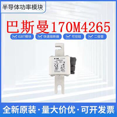 170M4265 170M4266 170M4267 170M4393巴斯曼熔断器保险丝