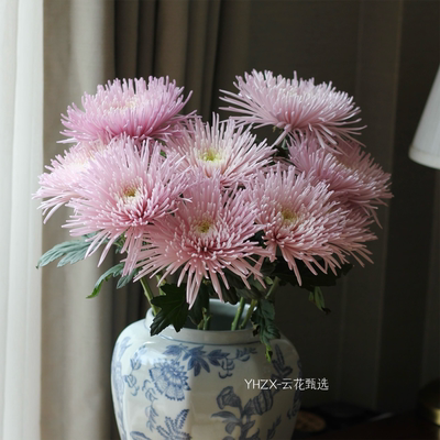 【云花甄选】进口粉色烟花菊维也纳菊大花朵珠玉花球大瓶插花真花