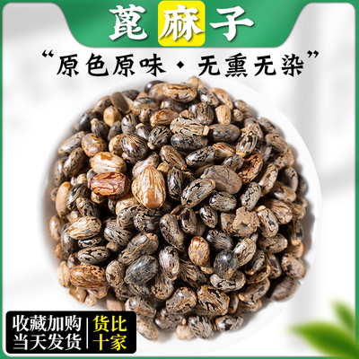蓖麻子中药材500克 野生蓖麻籽种子油 新鲜 生蓖麻仁 非碾碎打粉