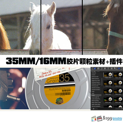 CrumplePop Grain35 FCPX 35MM/16MM 胶片颗粒 4K视频素材+插件