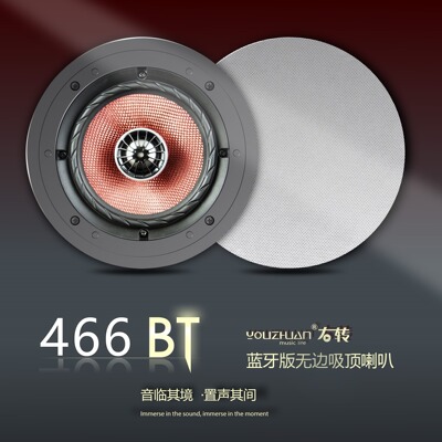 开孔205mm蓝牙吸顶喇叭背景音乐