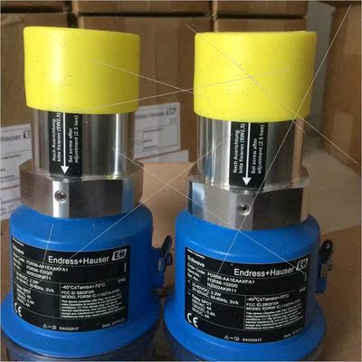 议价瑞士E+H流量计50W1H-HC0A1AA0AAAA,