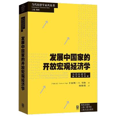 发展中国家的开放宏观经济学
