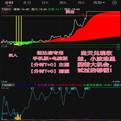 通达信高胜率分时T+0买卖点指标