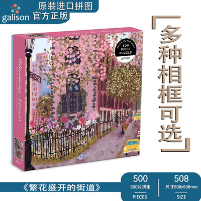 美国代购500片正品解压拼图