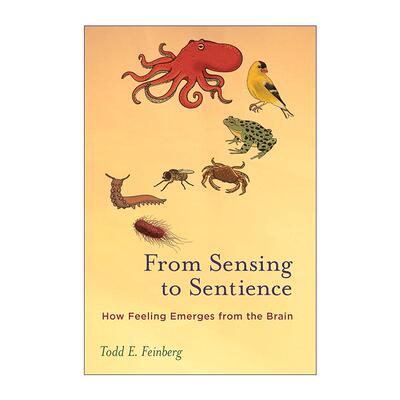 英文原版 From Sensing to Sentience The MIT Press 从感觉到感知 感觉如何从大脑中产生 认知神经科学 Todd E. Feinberg 英文版