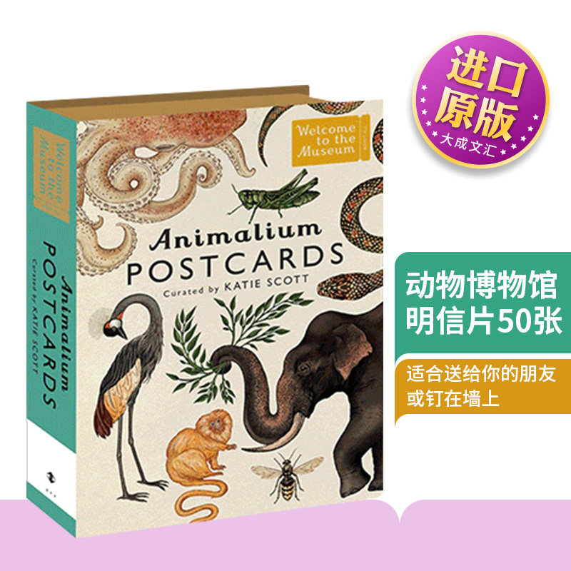 Animalium Postcards 英文原版 动物博物馆明信片50张 艺术明信片卡片 英文版 进口原版英语书籍_虎窝淘