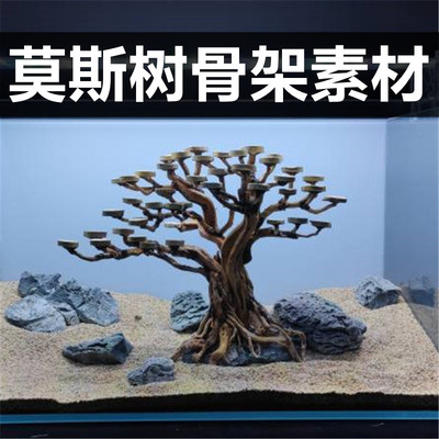 造景莫斯树骨架椰壳圆片水草缸