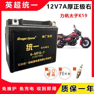 适用力帆KPV150 KPT200 KPR200 KPM200 K19太子摩托车免维护电瓶