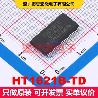 HT1621B-TD SSOP-48-300mil 显示驱动器 电源管理 集成芯片IC