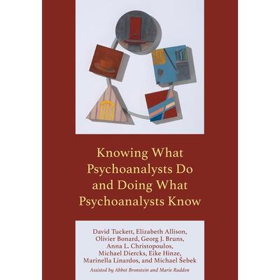 预售 Knowing What Psychoanalysts Do and Doing What Psychoanalysts Know英文原版 Bloomsbury