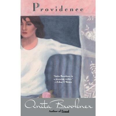 Providence企鹅兰登 英文原版