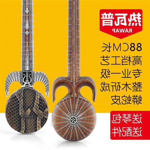 热瓦普乐器新疆喀什热瓦普蟒皮成人专业演奏收藏级琴送琴包送配件