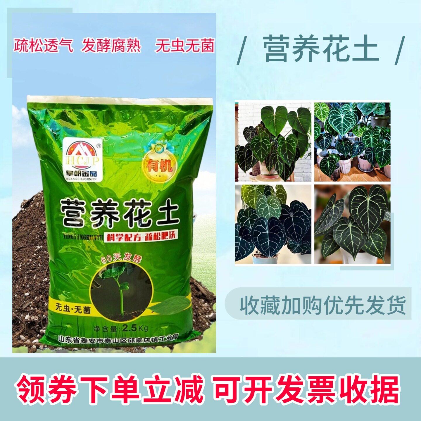 克莱恩水晶花烛营养土家用室内客厅火鹤王帝王花烛盆栽专用种植土