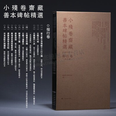 小残卷斋藏善本碑帖精选·楷行卷（全10册）洛神赋十三行石门铭龙门八品墓志四种刁遵墓志唐姜遐碑雁塔争座位黄庭坚等毛笔书法字帖