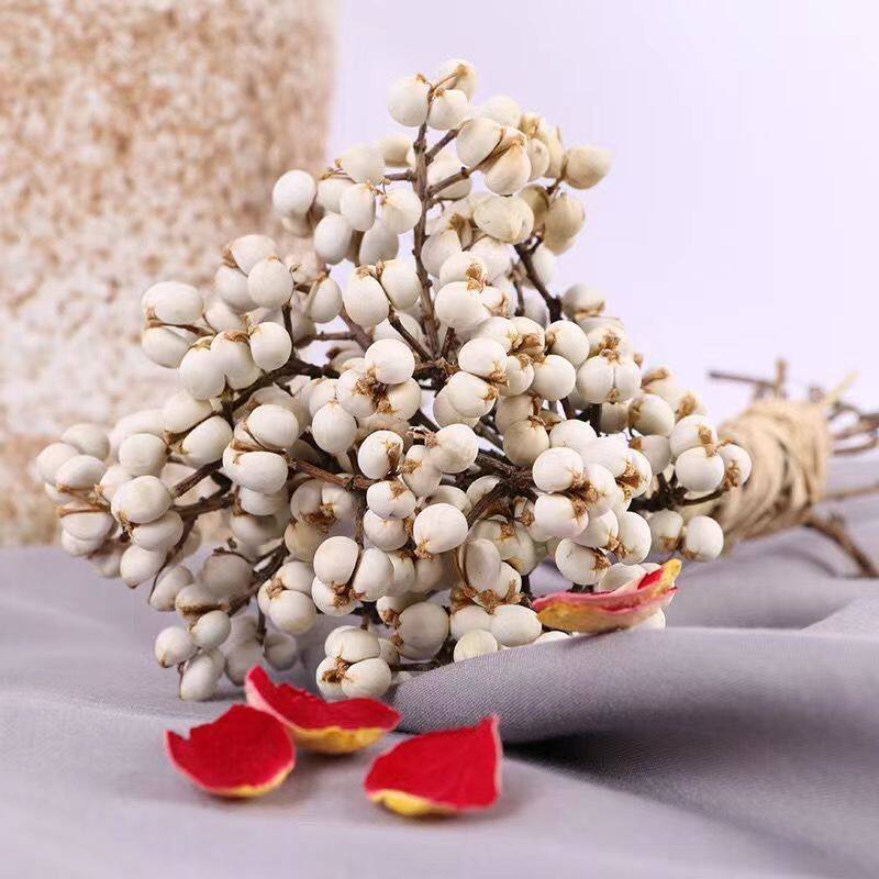 小白果干花装饰材料白果乌桕果薏米果圣诞节DIY干果材料ins风装饰