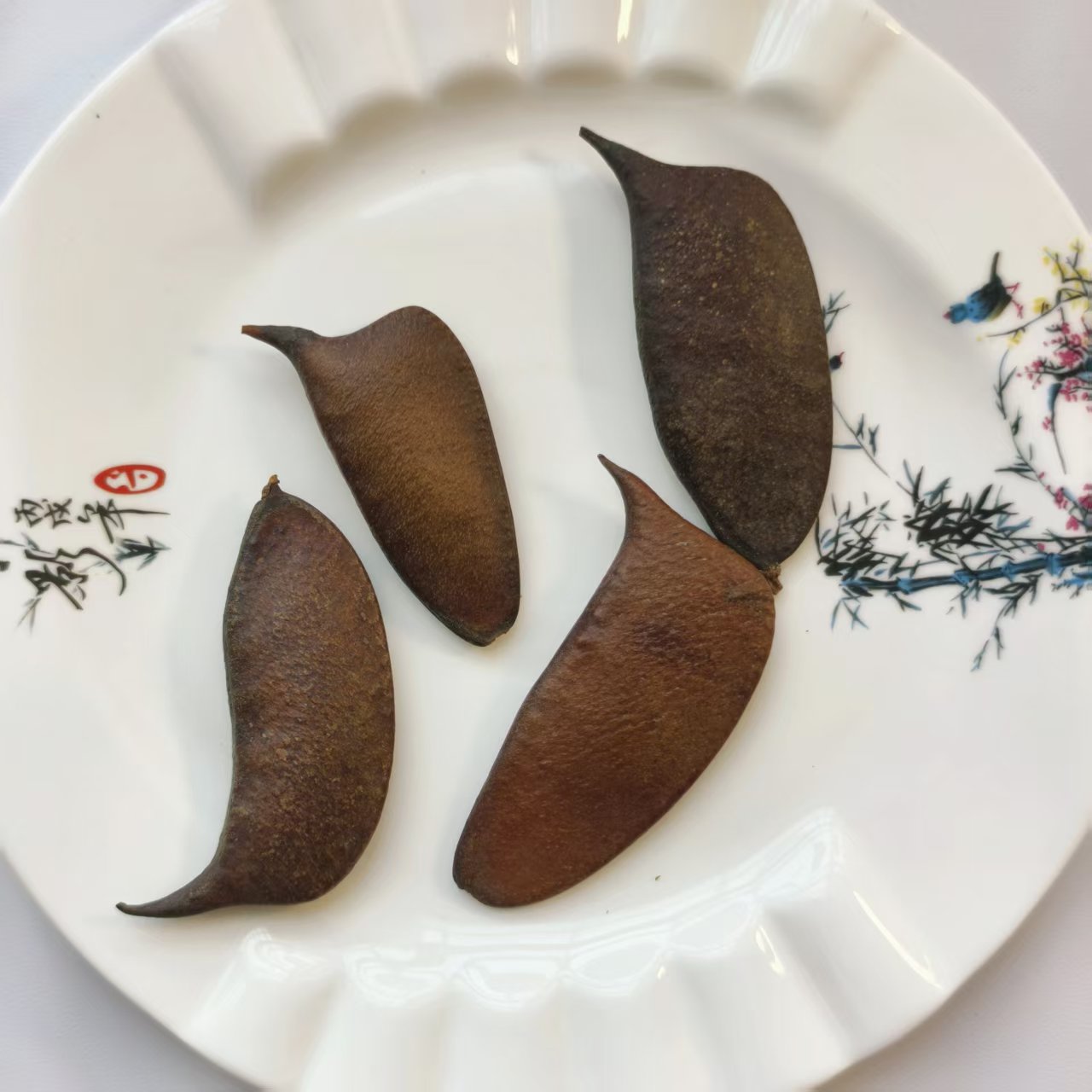 【音符豆】天然植物果实豆荚干花干果实组合储存摆设拍摄道具背景