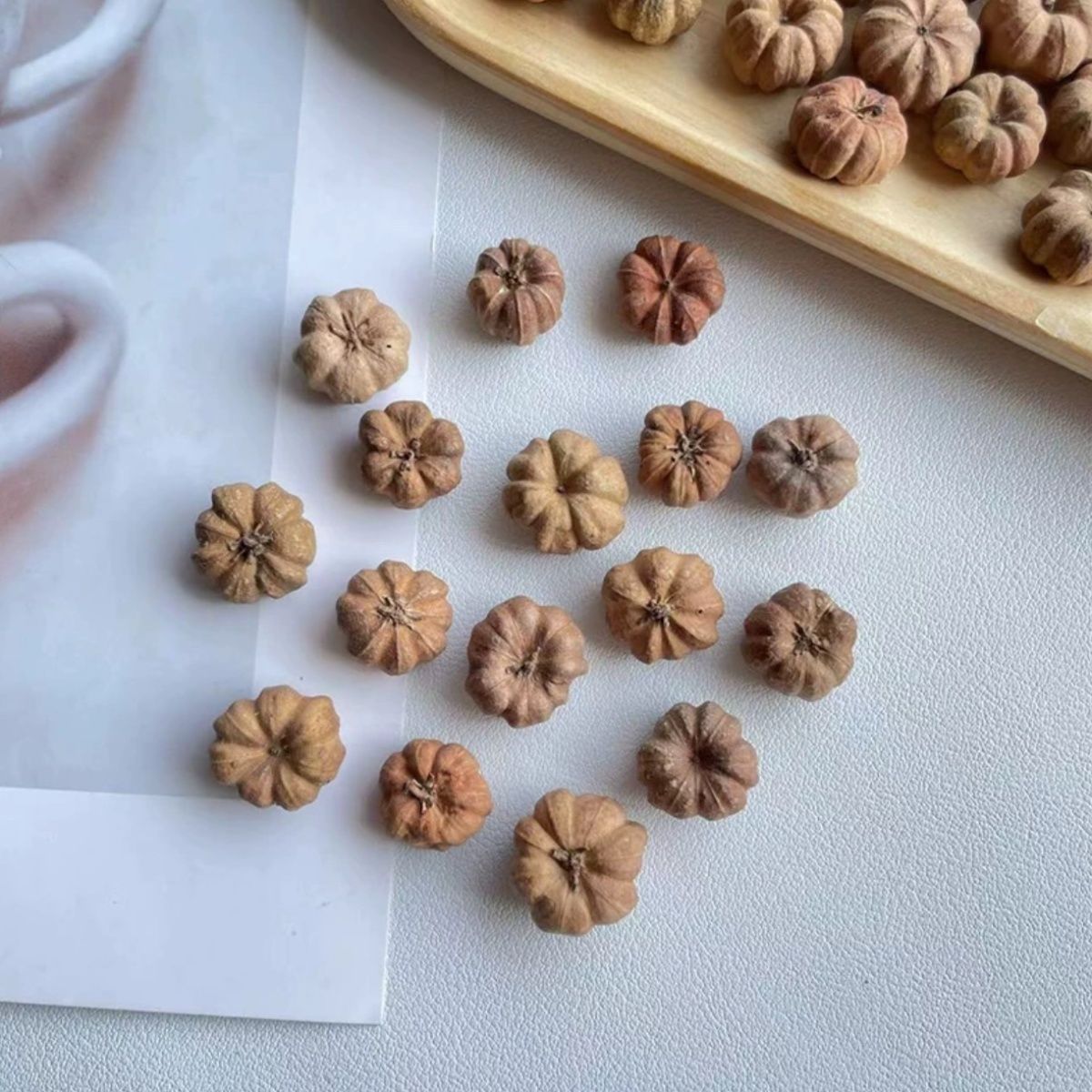【小桔瓜】小南瓜干果实森系手工花环diy干花材料香薰蜡烛永生花