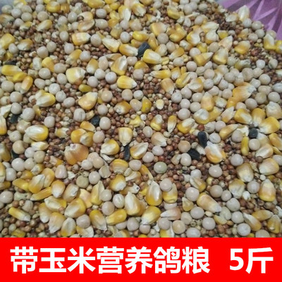 包邮5斤装有玉米鸽粮肉鸽观赏鸽