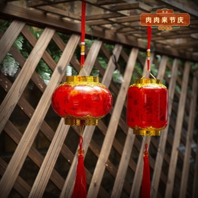 喜庆手持元宵节新年装饰灯笼6