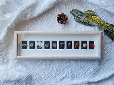 复古植物手作蝴蝶标本相框摆台